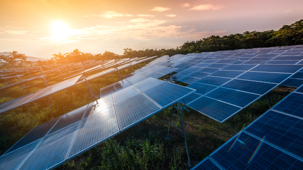 EU Solar Market Set To Shrink In 2025 For First Time Since 2015, Says ...